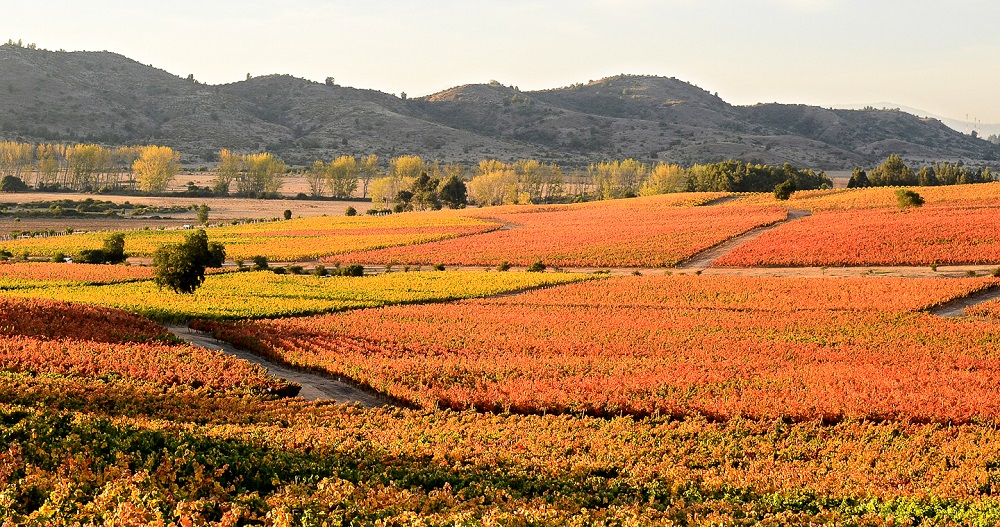 Invierno En Chile, Mucho Más Que Nieve » Viajo Con Vos